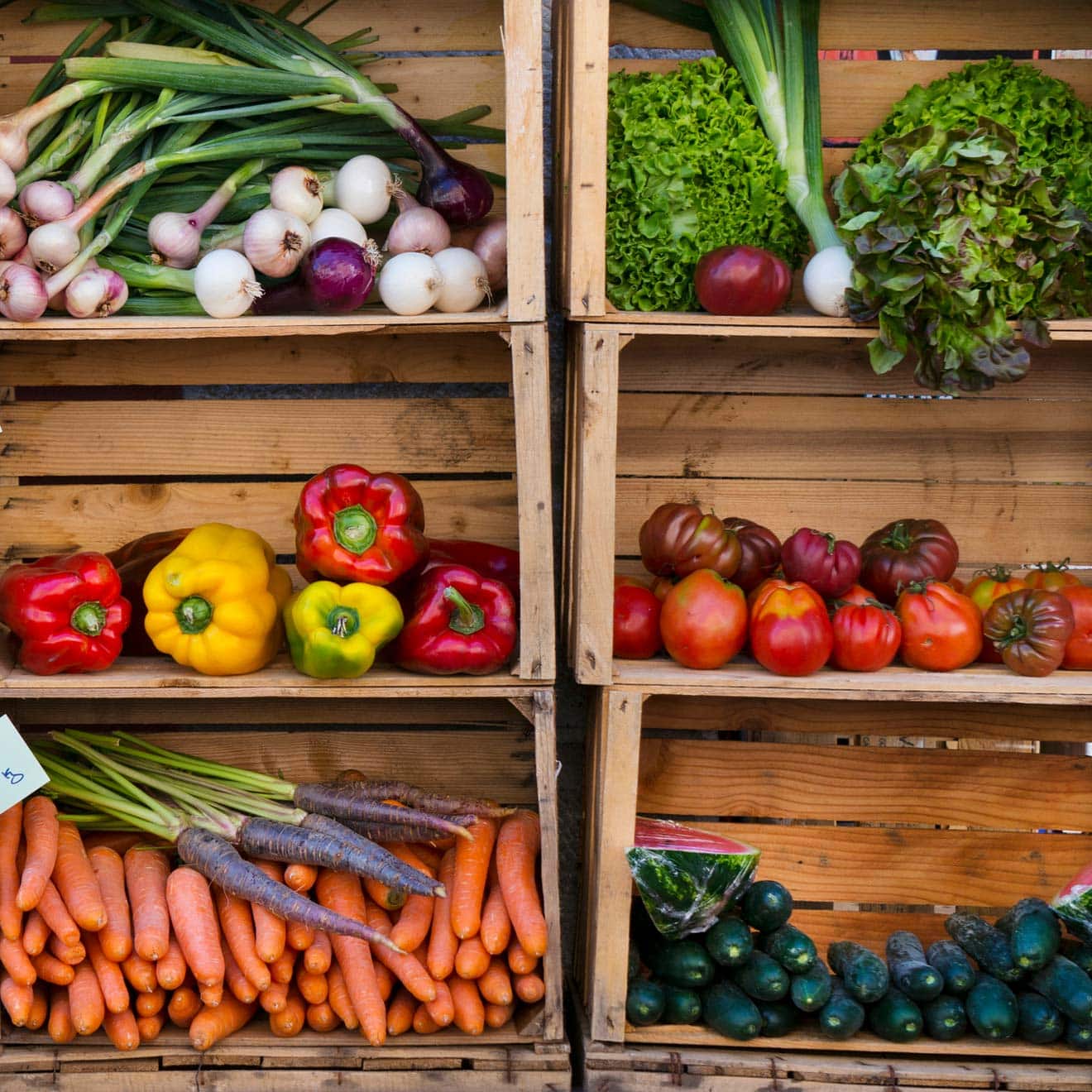 Essentials - Bertolli