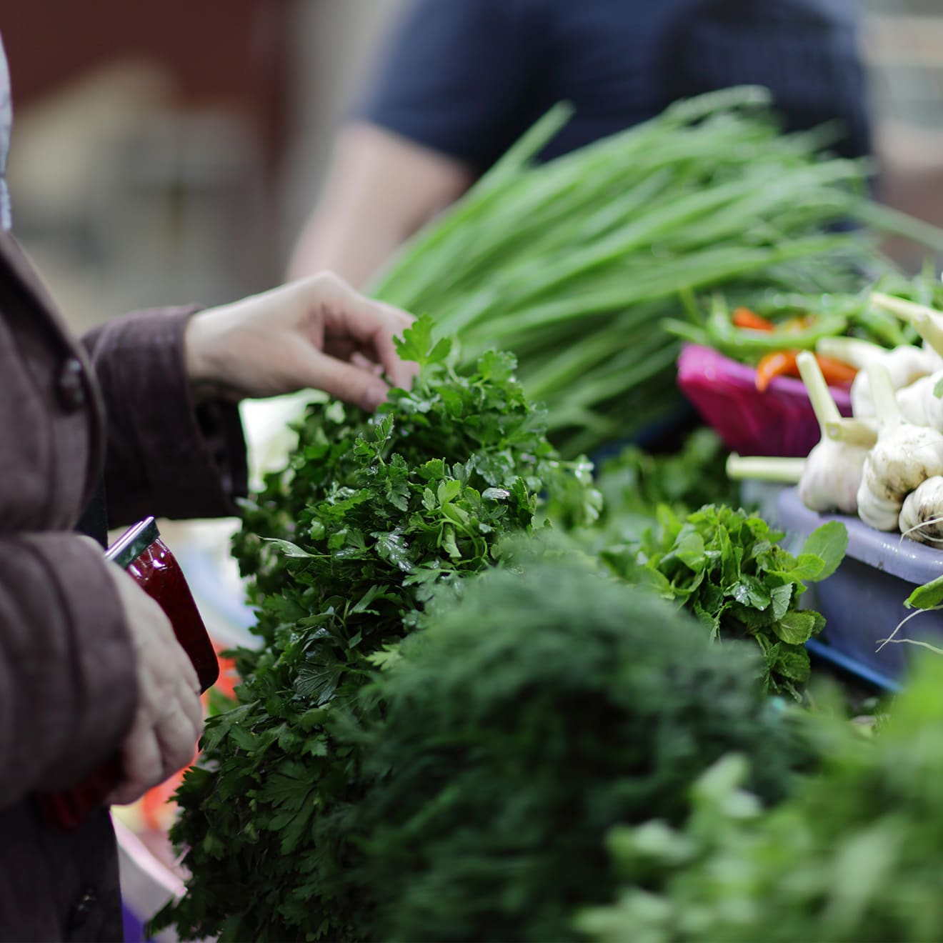 Bertolli® Alfredo with Aged Parmesan Cheese Sauce - Bertolli